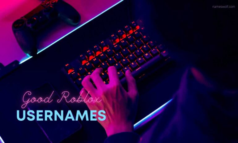 550+ Roblox Usernames That Are Crazy and Unique - NamesWolf
