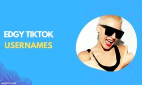 550+ Edgy Usernames That are Guaranteed To Rock Your World