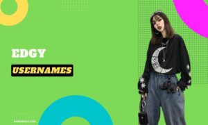 550+ Edgy Usernames That are Guaranteed To Rock Your World