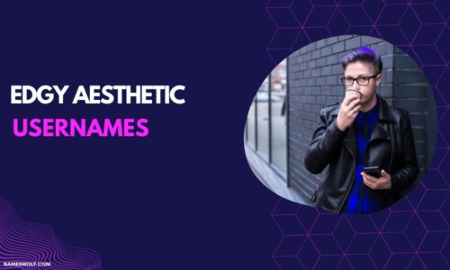 550+ Edgy Usernames That are Guaranteed To Rock Your World