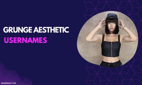 750+ Grunge Usernames : Underrated & Iconic Alternatives