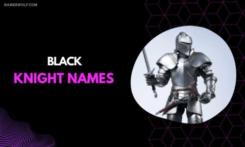 550+ Best Knight Names For Your Next Event - NamesWolf