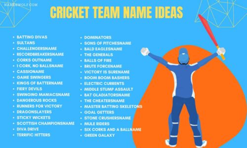 550+ Cricket Team Names To Make Your Opponent Clean Bowled