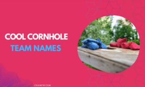550+ Cornhole Team Names For Curious Cornhole Players