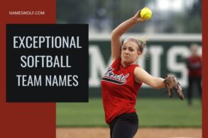 Softball Team Names: 1000+ Crazy and Creative Ideas