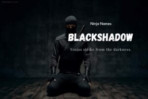 175+ Ninja Names That Unleash Your Inner Warrior - NamesWolf