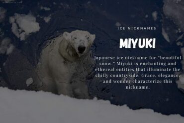 290+ Ice Nicknames for Your Next Winter Adventure - NamesWolf
