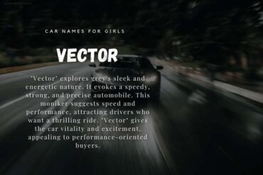 300+ Grey Car Names & Their Mysterious Origins