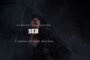 70+ Trendy Nicknames for Sebastian: From Bash to Sebby - NamesWolf